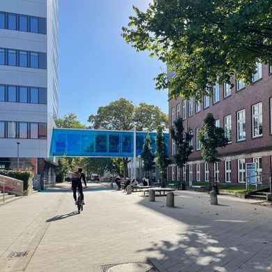 Forschen und Transfer - HSB Hochschule Bremen